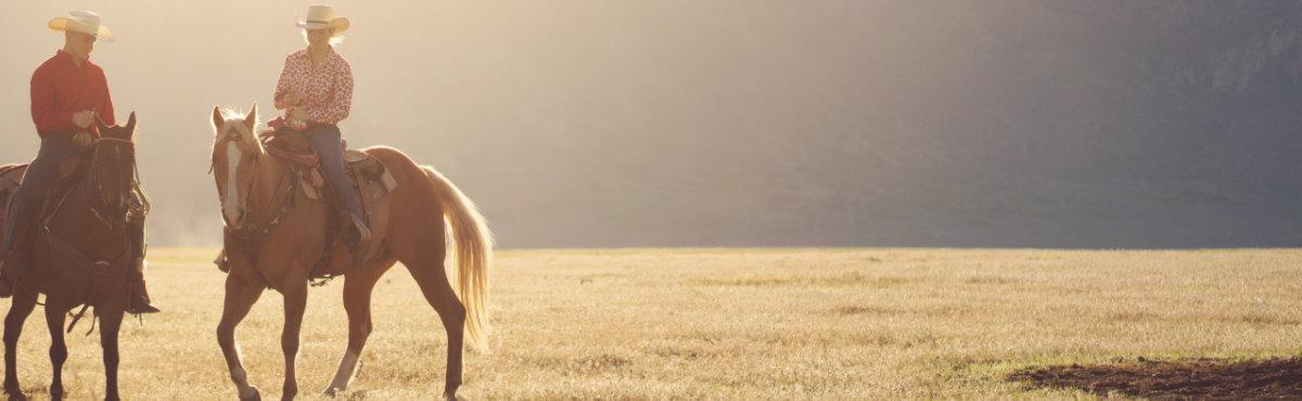 Blog Lone Star Energy
